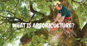 WHAT IS ARBORICULTURE? What is the important of Arboriculture