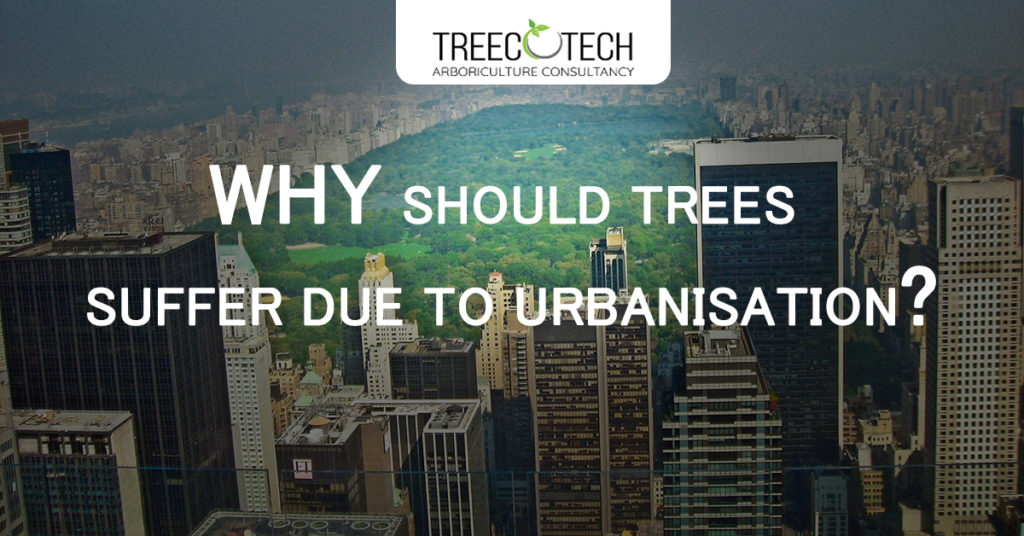 How is Urbanization Affecting the Health of the Trees?