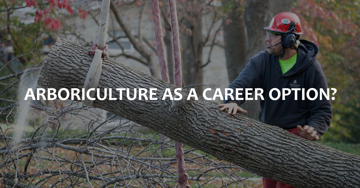 What You Need to Know About Arboriculture as a Career Option - TreeCoTech