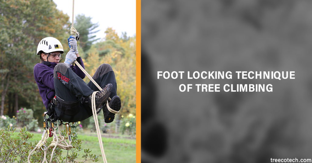 Using the Foot Locking Technique of Climbing - TreeCoTech