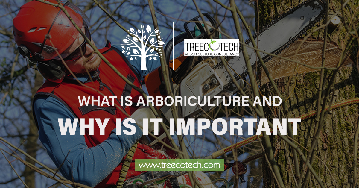 What is Arboriculture and Why is it Important - Treecotech