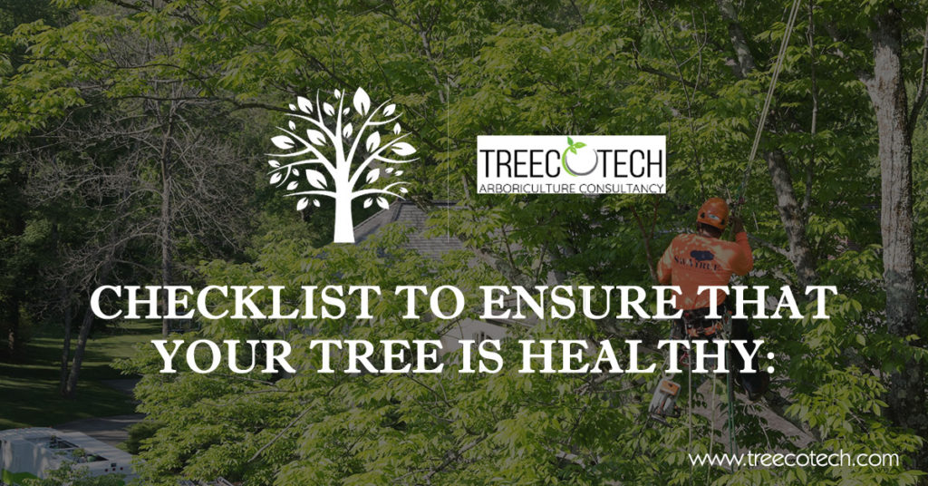 Checklist to Ensure That Your Tree is Healthy: Treecotech