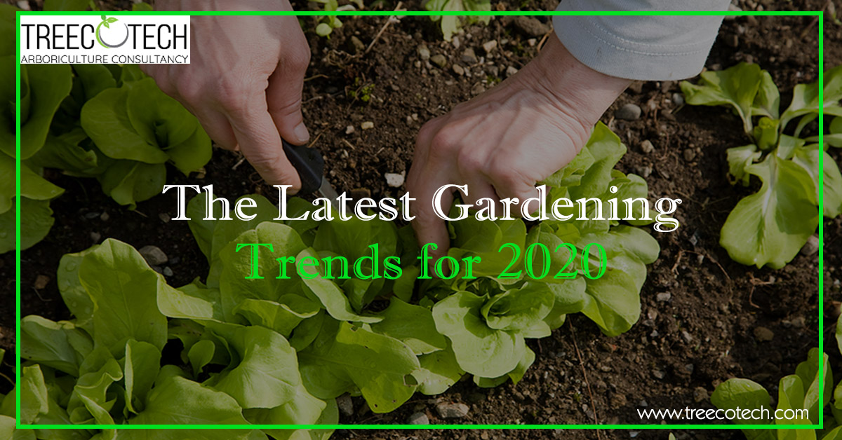 The Latest Gardening Trends for 2020 - TreeCoTech