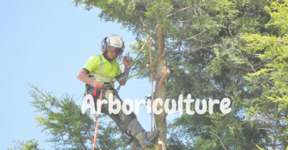 Understanding the Purpose of Arboriculture - TreeCoTech